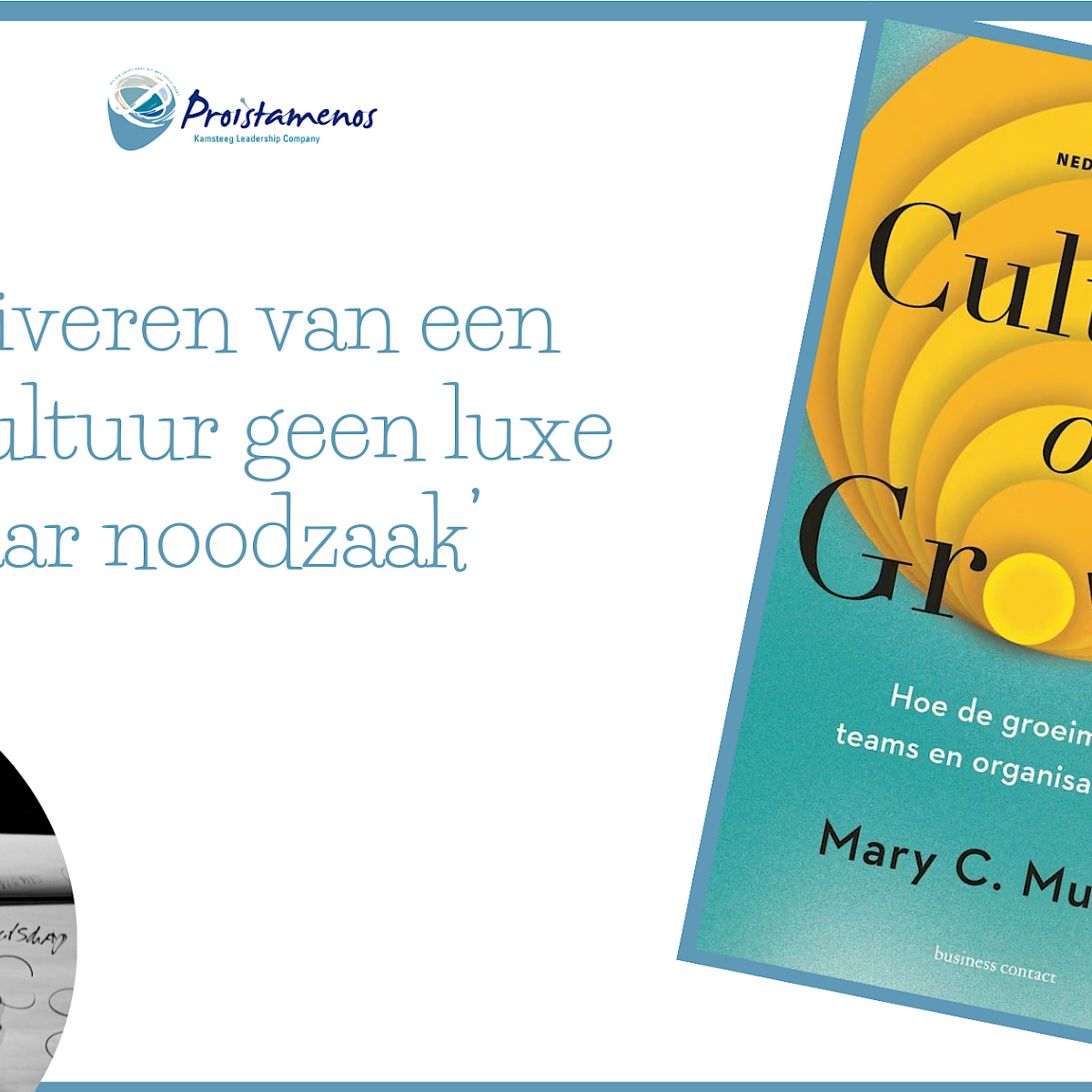 Cultures of growth | Blog | Proistamenos